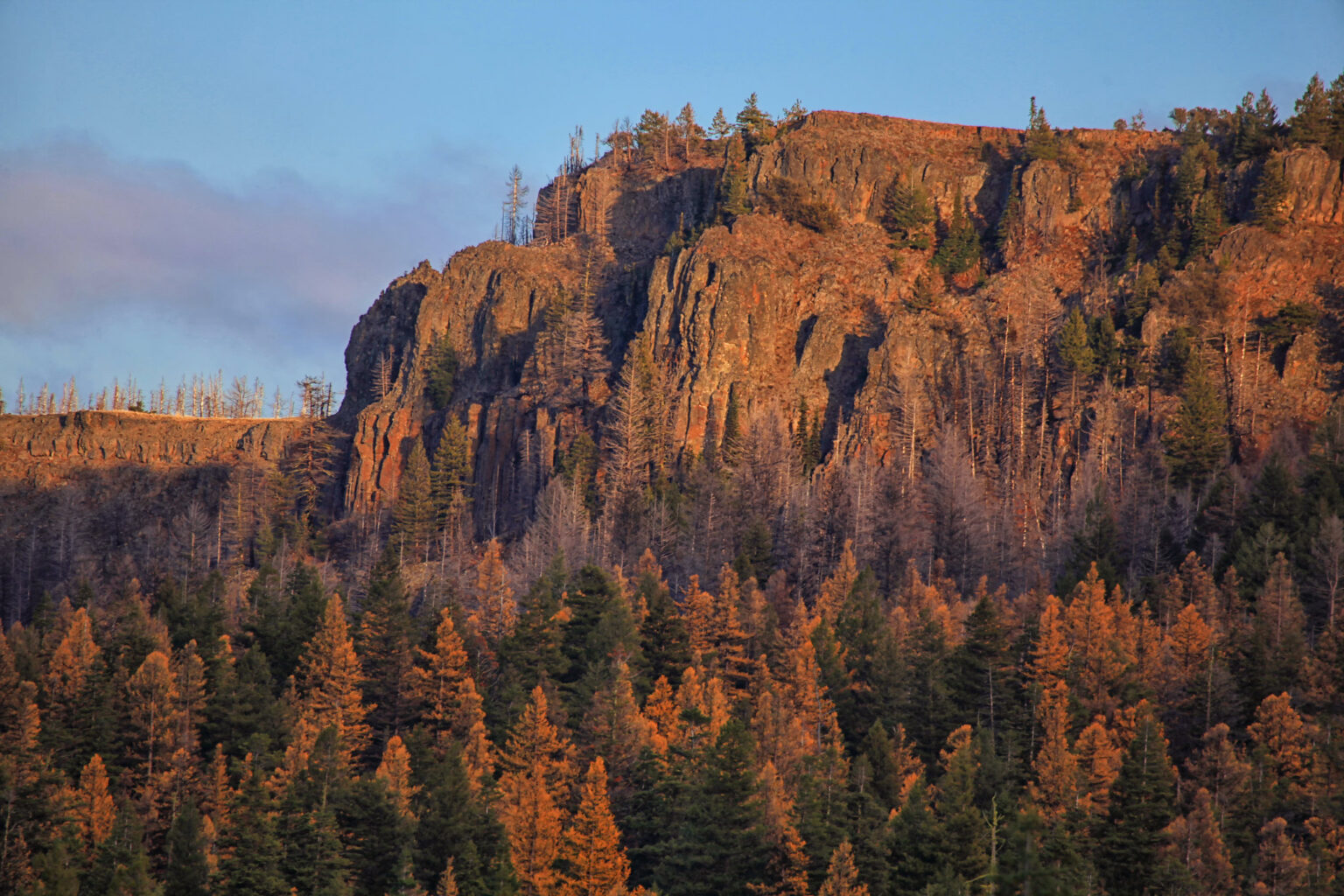 Where We Work - Discover Your Forest