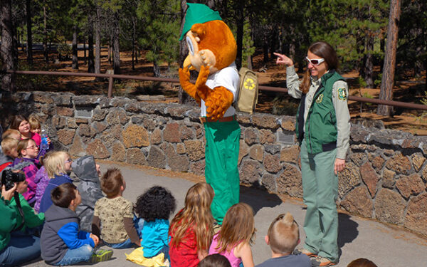 Learn and Explore - Discover Your Forest